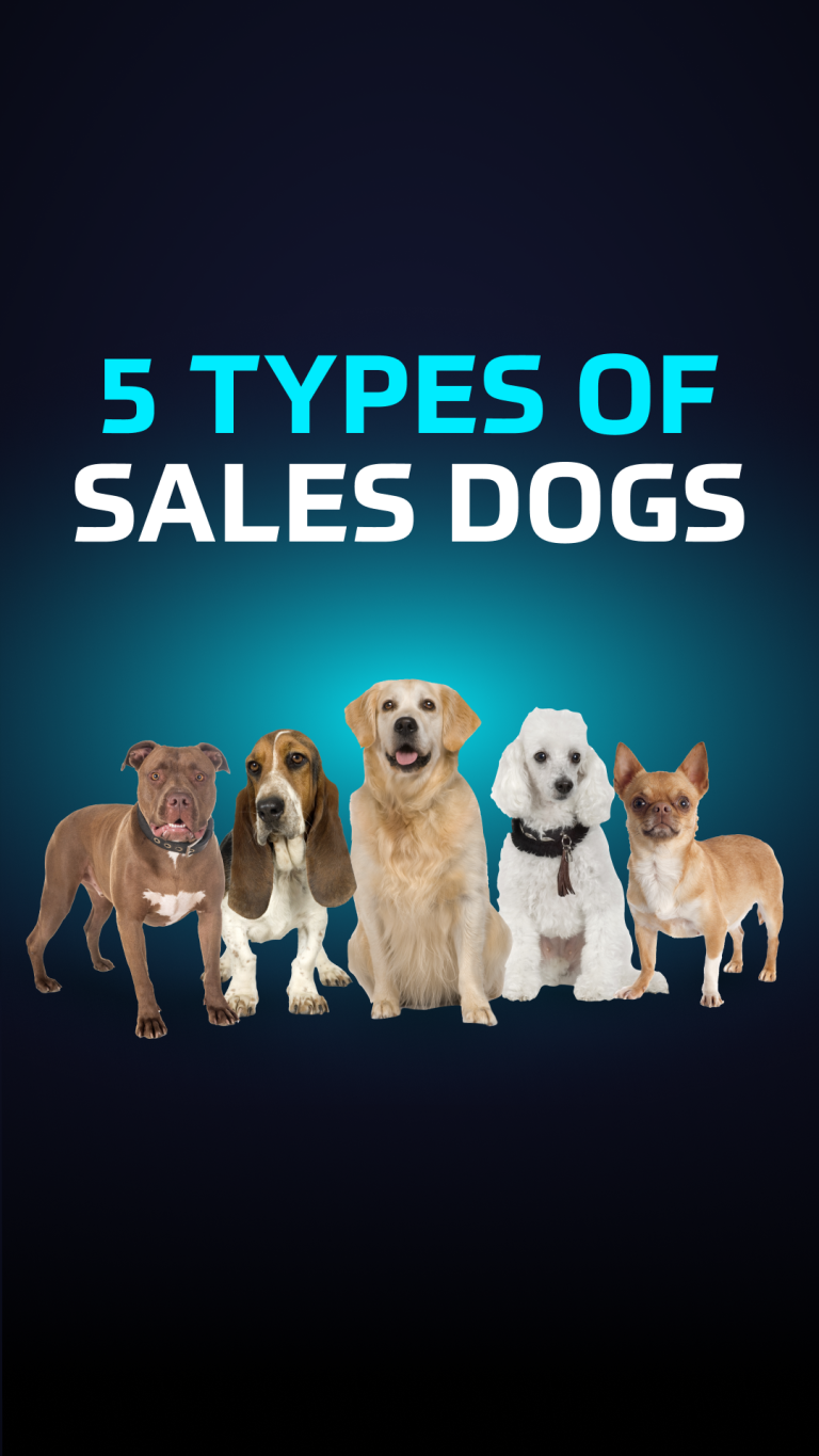 What's your Sales Dog Type - BRAND MINDS