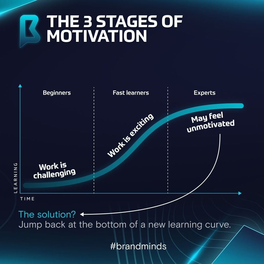 This is the structure of a winning team - BRAND MINDS